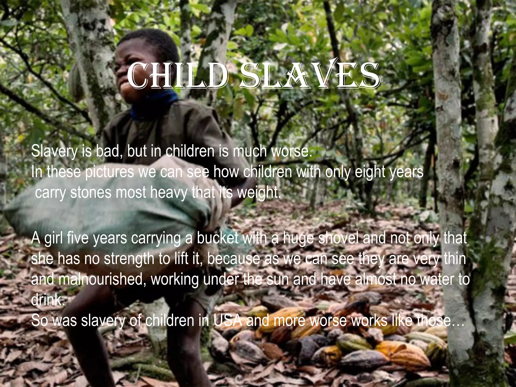 History of slavery in the USA | PPT