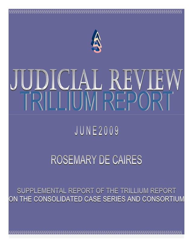 JUDICIAL REVIEW REPORT 2009 | PDF