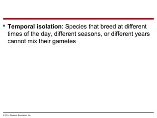 Temporal Isolation In Biology