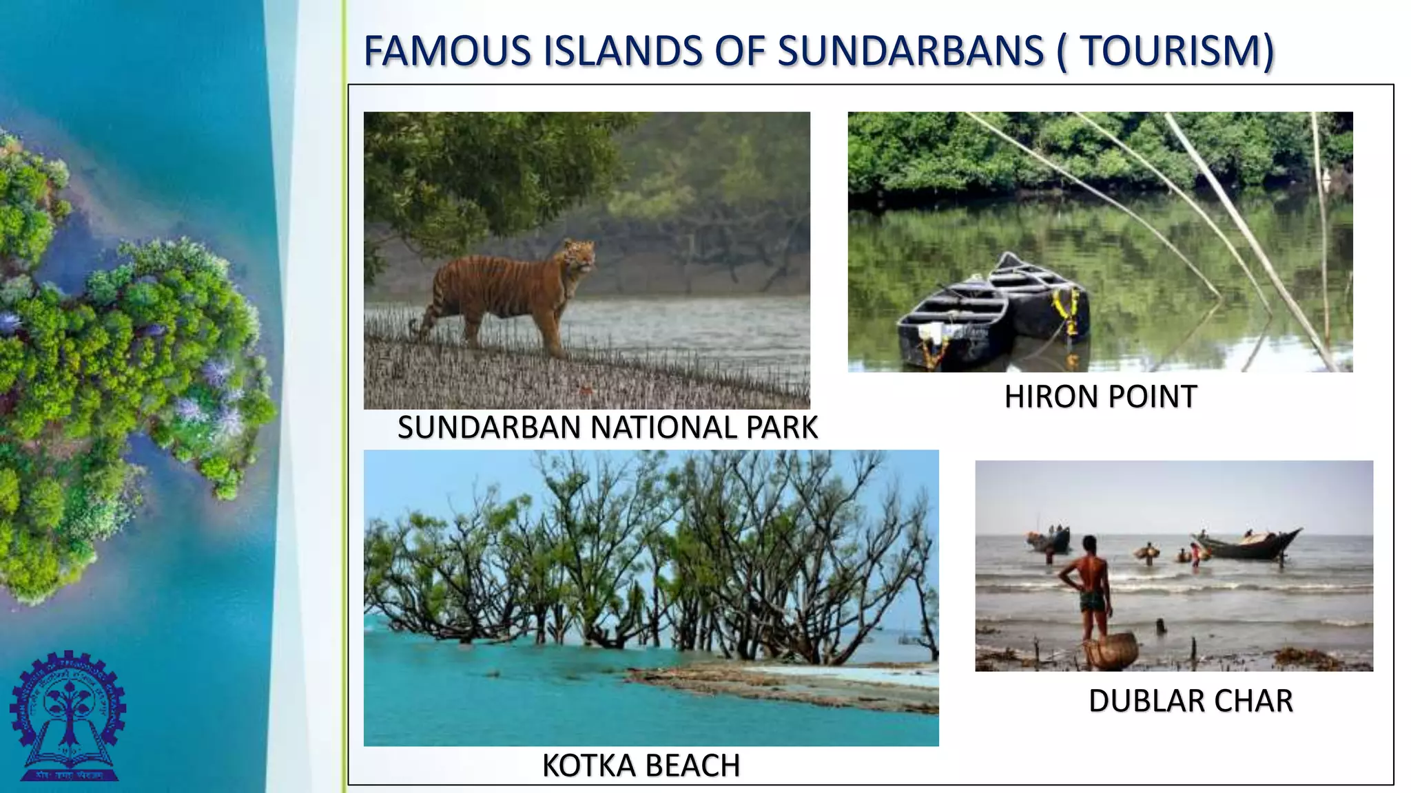 SEA LEVEL RISE IMPACT ON SUNDARBAN .pptx