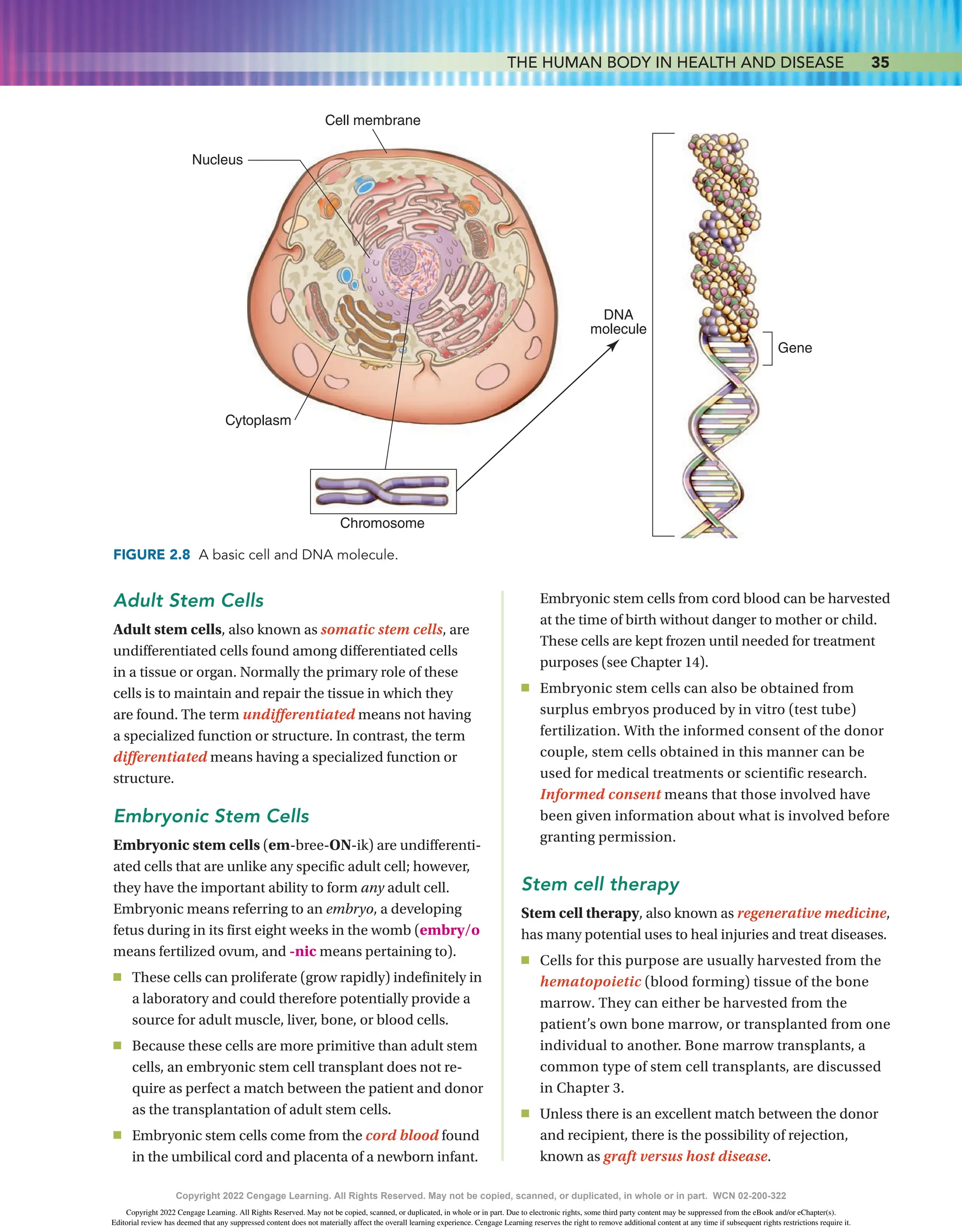 Medical Terminology for Health Professions 9th Edition PDF | PDF