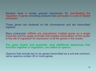 operon model in prokaryotes and eukaryotes | PPT