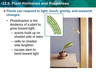 22 Plant Growth Reproduction and Response.ppt