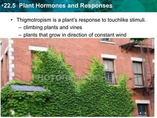 22 Plant Growth Reproduction and Response.ppt