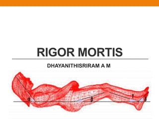 RIGOR MORTIS FORENSIC MEDICINE PRESENTATION | PPTX