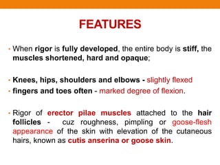 RIGOR MORTIS FORENSIC MEDICINE PRESENTATION | PPTX