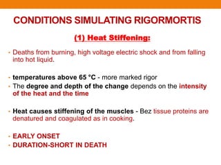 RIGOR MORTIS FORENSIC MEDICINE PRESENTATION | PPTX