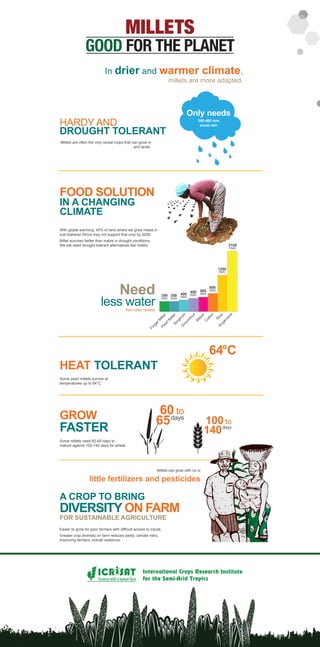 Millets - Good For The Planet | PDF