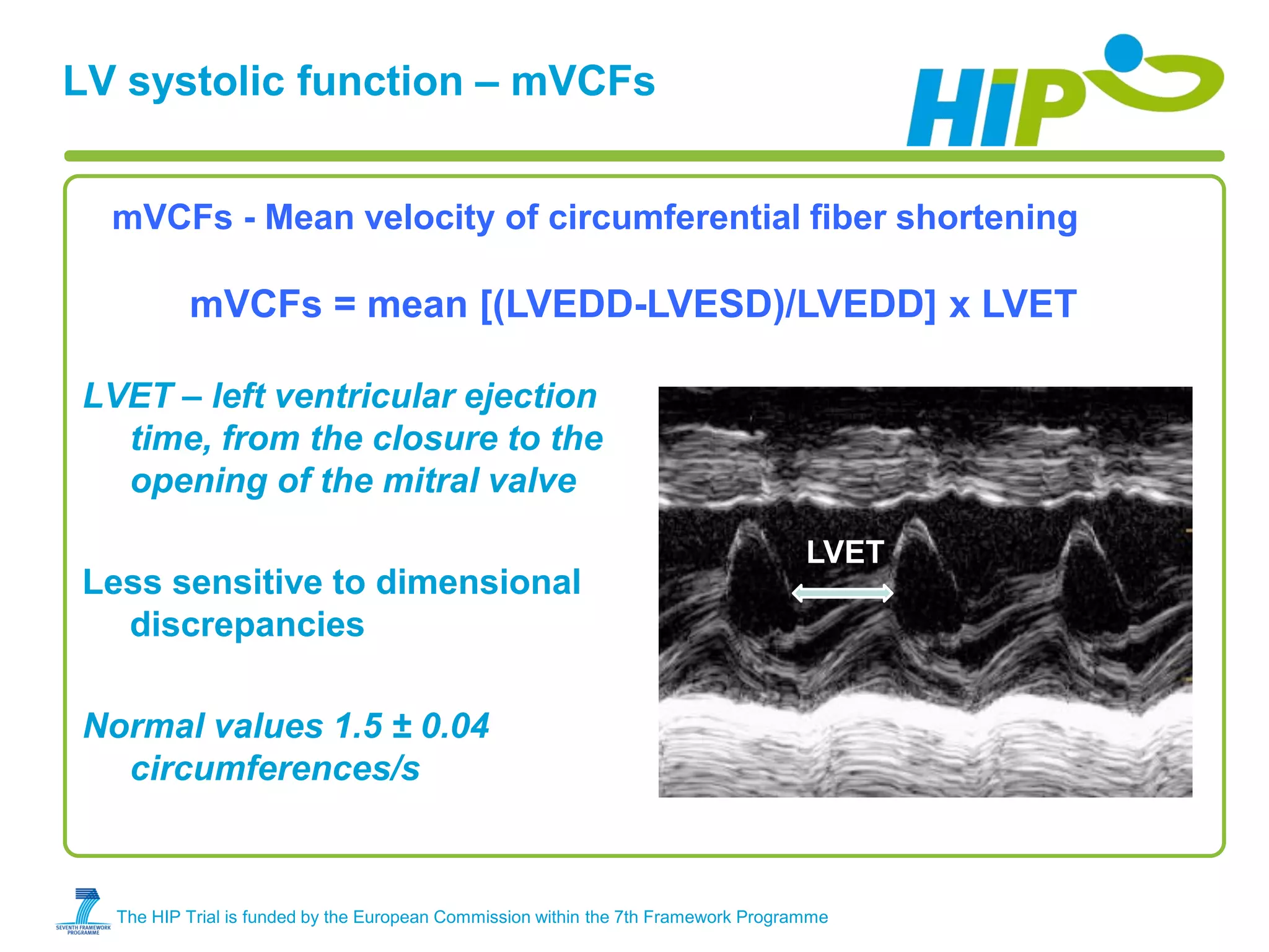 Functional Echocardiography. Targeted neonatal echocardiography (TNE). Point of care ...