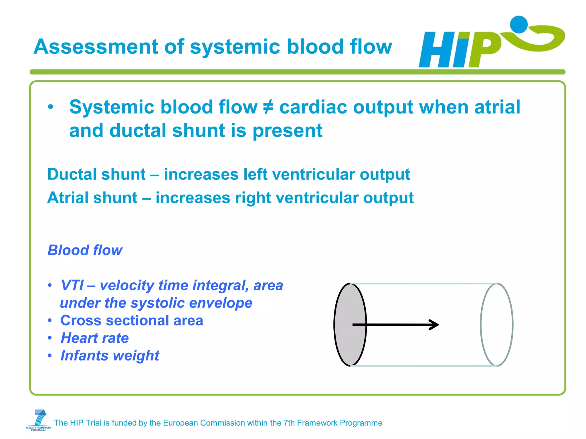 Functional Echocardiography. Targeted neonatal echocardiography (TNE). Point of care ...