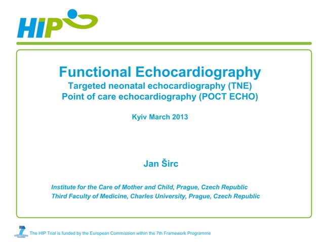 Functional Echocardiography. Targeted neonatal echocardiography (TNE). Point of care ...
