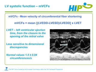 Functional Echocardiography. Targeted neonatal echocardiography (TNE). Point of care ...