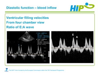 Functional Echocardiography. Targeted neonatal echocardiography (TNE ...