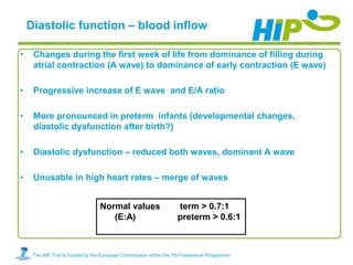 Functional Echocardiography. Targeted neonatal echocardiography (TNE ...