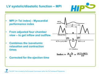 Functional Echocardiography. Targeted neonatal echocardiography (TNE ...