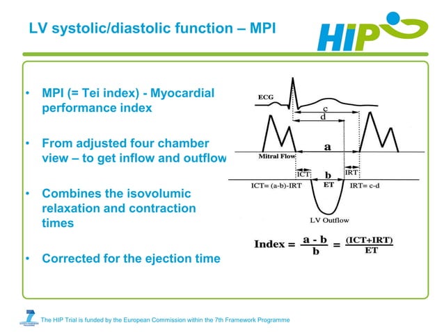 Functional Echocardiography. Targeted neonatal echocardiography (TNE). Point of care ...