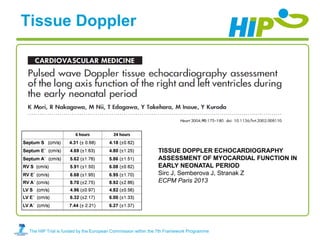 Functional Echocardiography. Targeted neonatal echocardiography (TNE). Point of care ...
