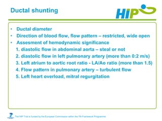 Functional Echocardiography. Targeted neonatal echocardiography (TNE). Point of care ...