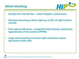 Functional Echocardiography. Targeted neonatal echocardiography (TNE). Point of care ...