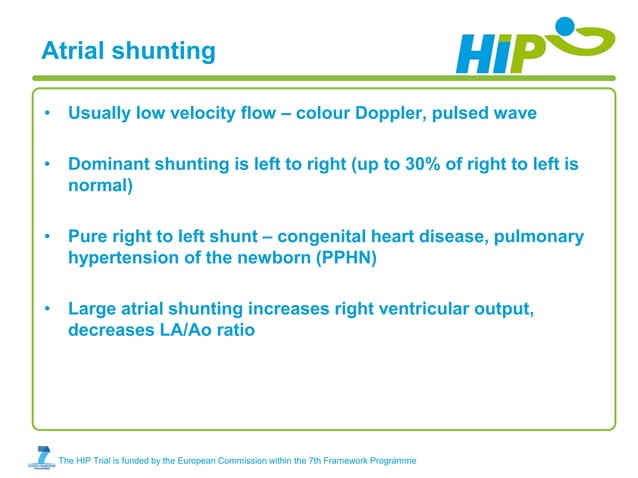 Functional Echocardiography. Targeted neonatal echocardiography (TNE ...