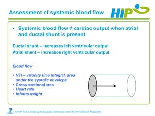 Functional Echocardiography. Targeted neonatal echocardiography (TNE). Point of care ...