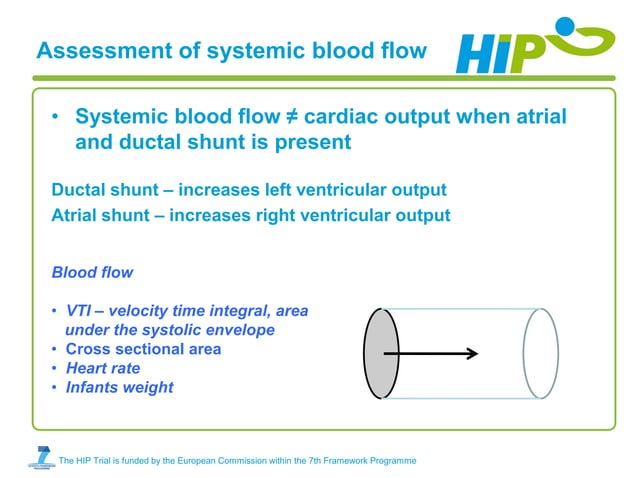 Functional Echocardiography. Targeted neonatal echocardiography (TNE). Point of care ...