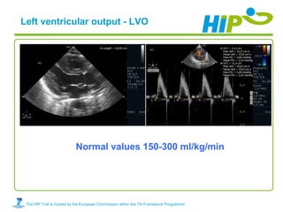 Functional Echocardiography. Targeted neonatal echocardiography (TNE ...