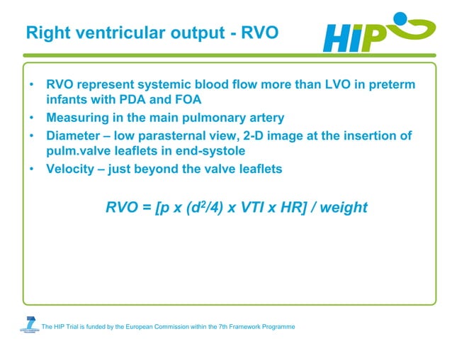 Functional Echocardiography. Targeted neonatal echocardiography (TNE). Point of care ...