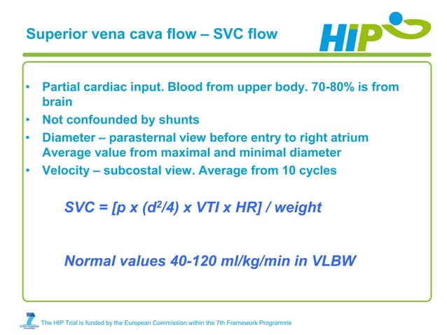 Functional Echocardiography. Targeted neonatal echocardiography (TNE). Point of care ...