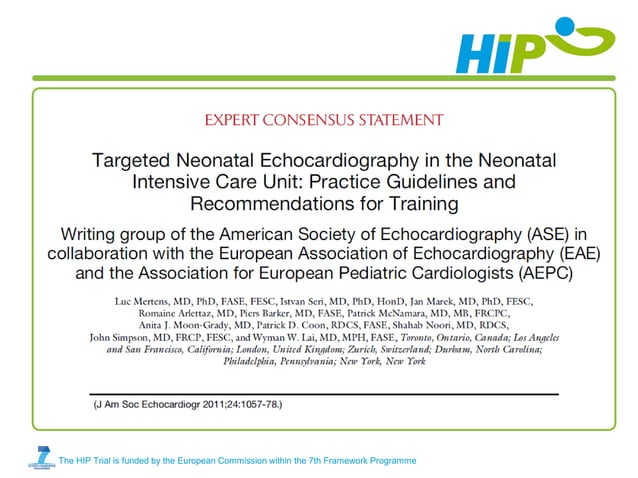 Functional Echocardiography. Targeted neonatal echocardiography (TNE). Point of care ...
