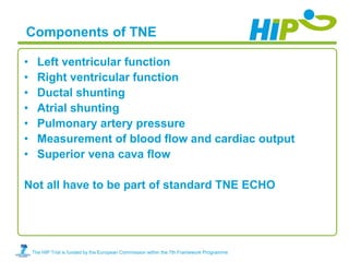 Functional Echocardiography. Targeted neonatal echocardiography (TNE). Point of care ...