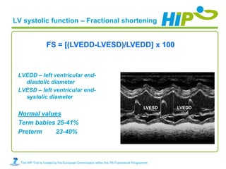 Functional Echocardiography. Targeted neonatal echocardiography (TNE ...
