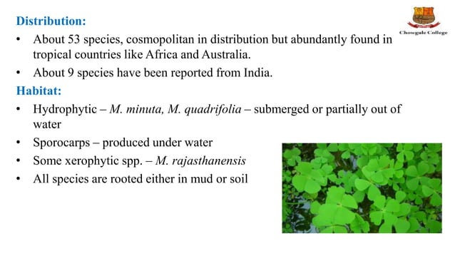 Structure, reproduction, life history and systematic position of ...