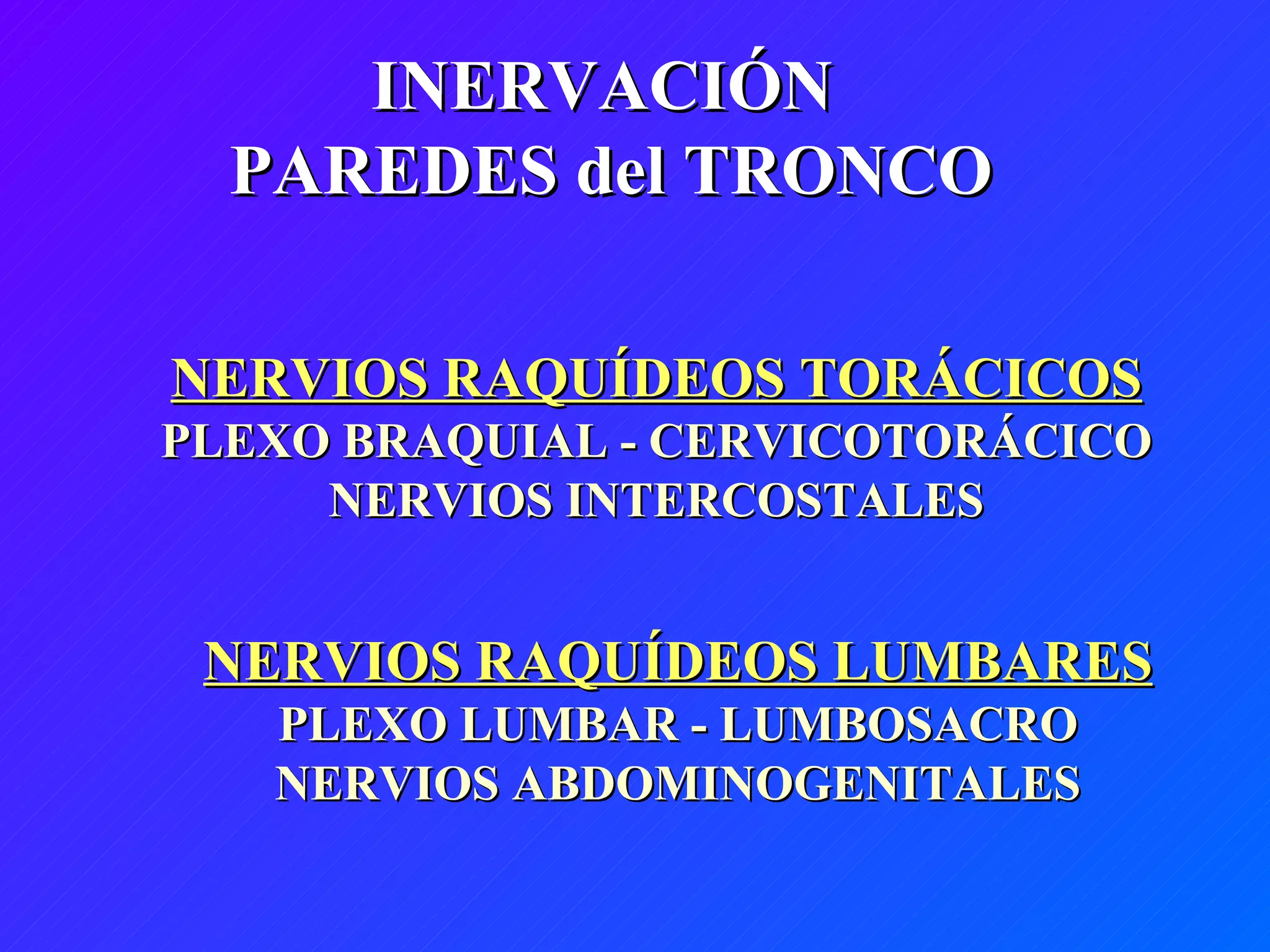 vasos y nervios paredes torax y abdomen | PPT