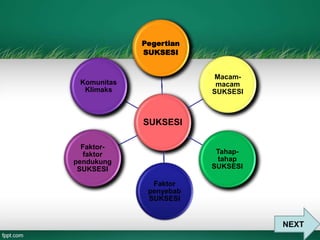 Suksesi | PPTX