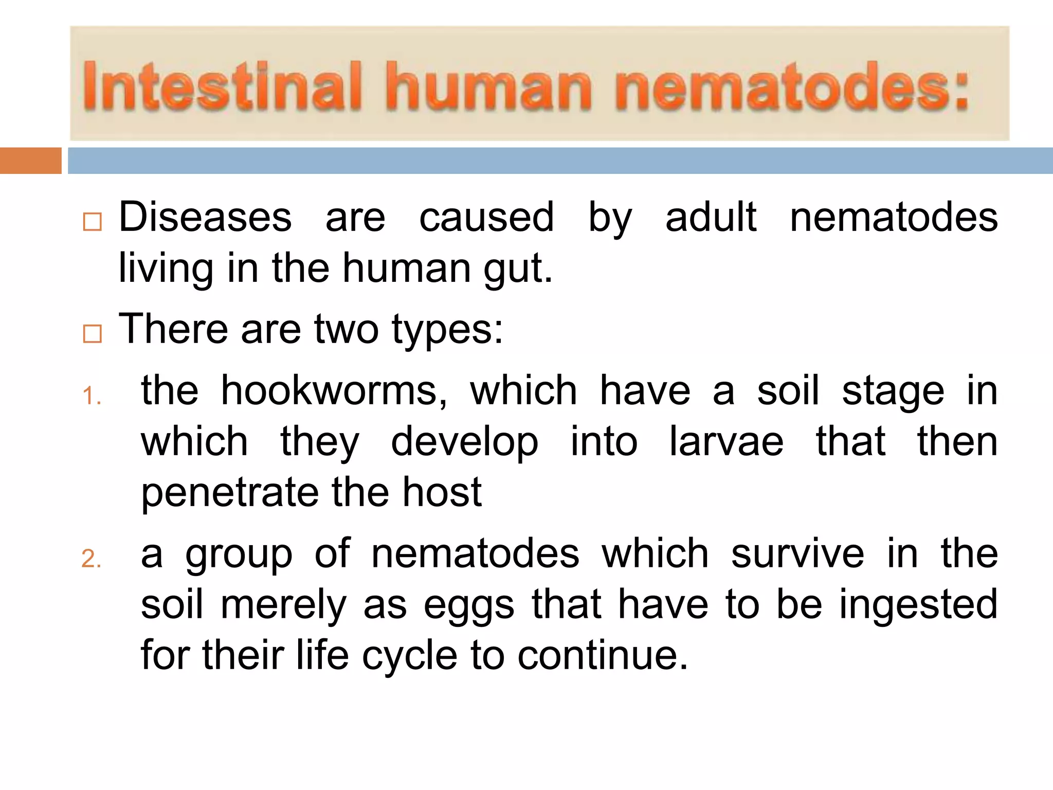 23. infections caused by helminths | PPTX