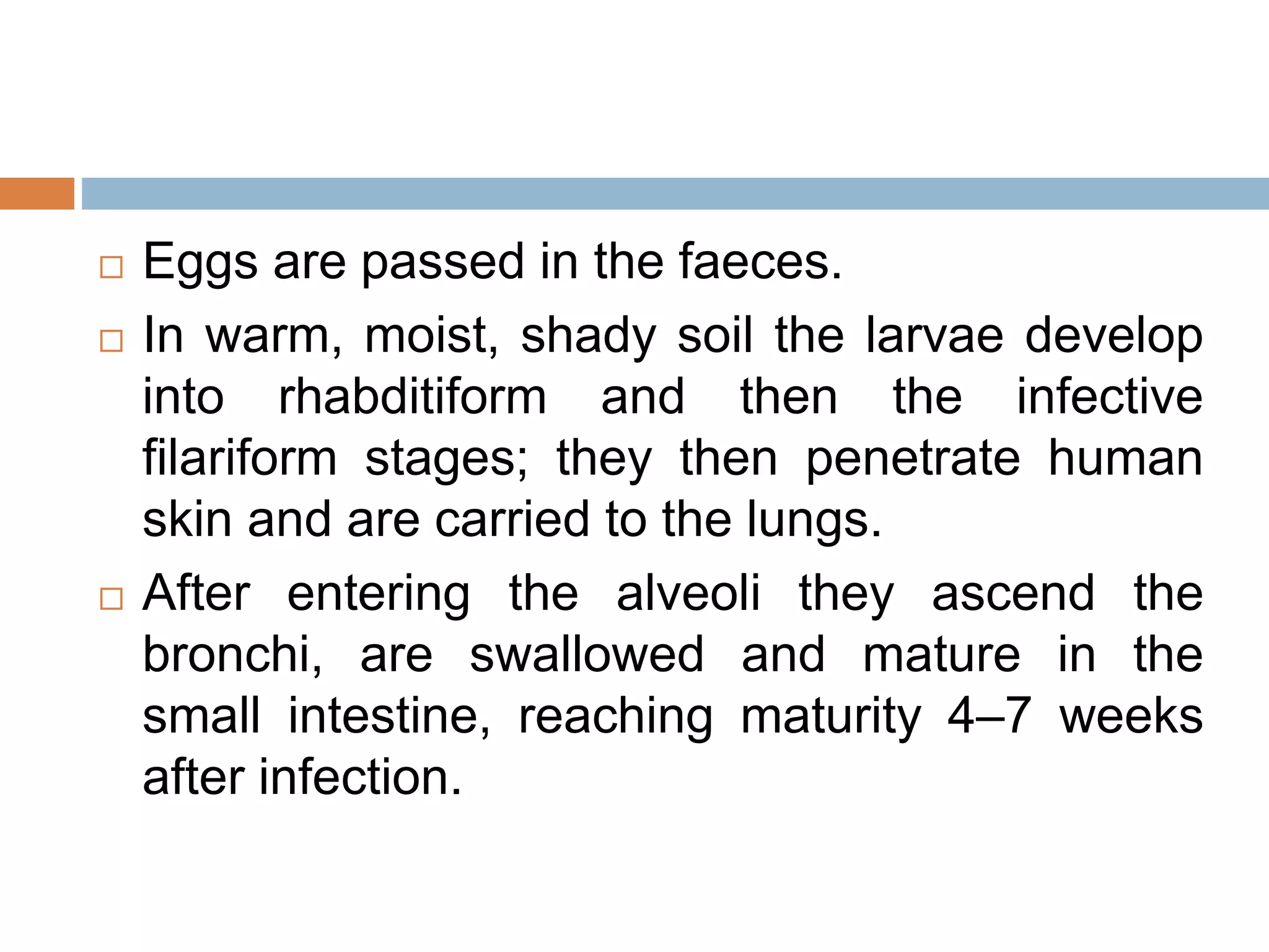 23. infections caused by helminths | PPTX