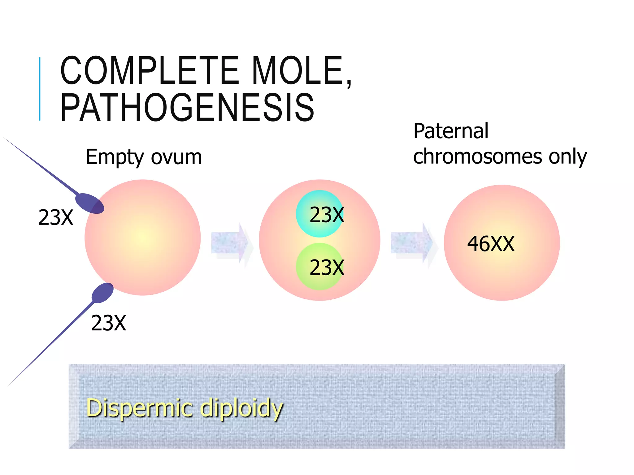 23. gestational trophoblastic diseases | PPTX