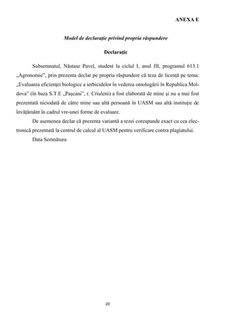 ghid elaborare teze | PDF