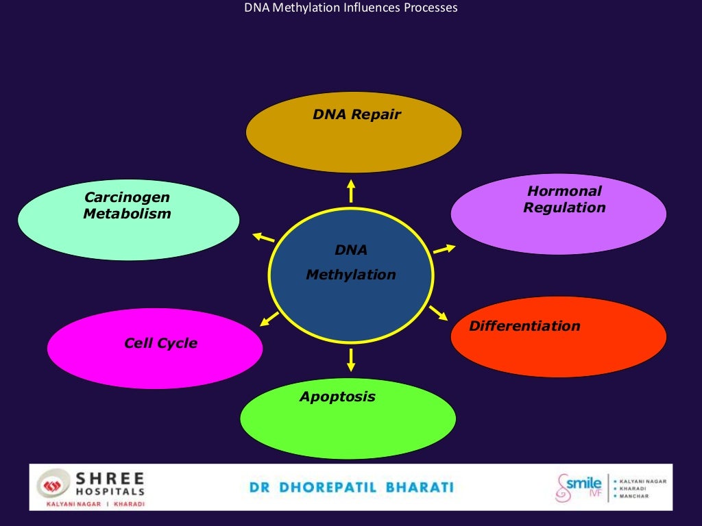 Genetic & Epigenetic Factors