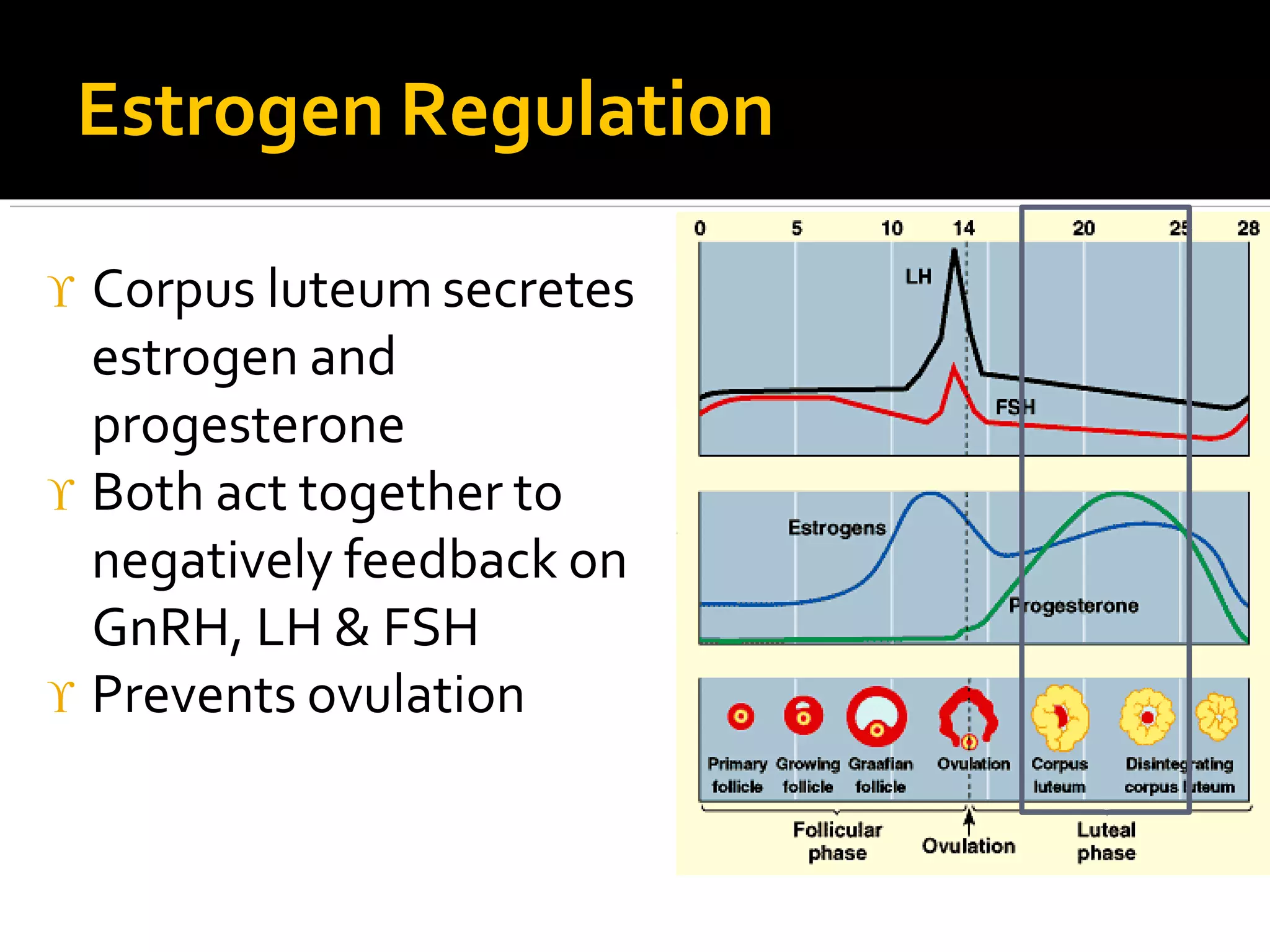 Hormonal control of reproduction in male and female mammals | PPTX