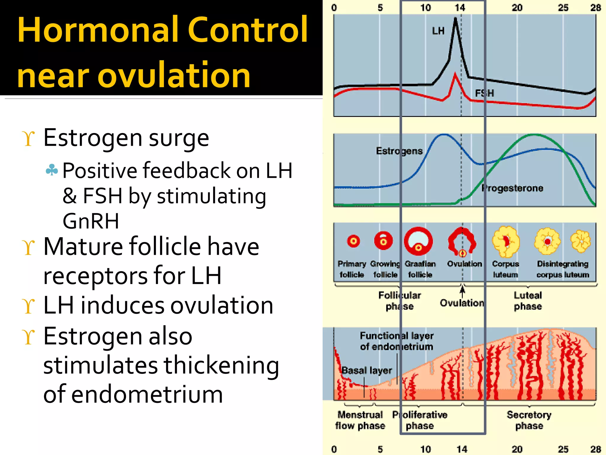 Hormonal control of reproduction in male and female mammals | PPTX