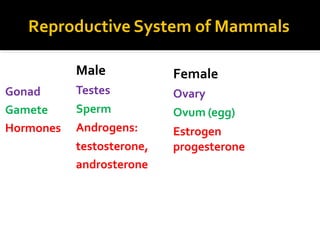 Hormonal control of reproduction in male and female mammals | PPTX