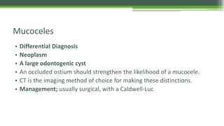Radiographic Features of Paranasal Sinuses | PPTX
