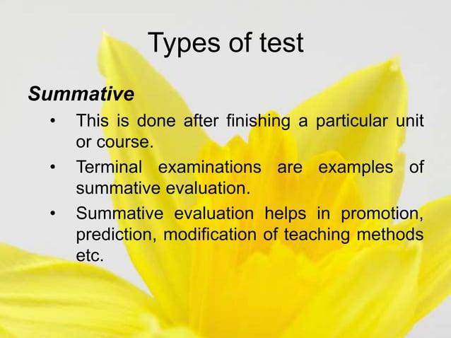Pedagogy - Evaluation in computer science | PPSX