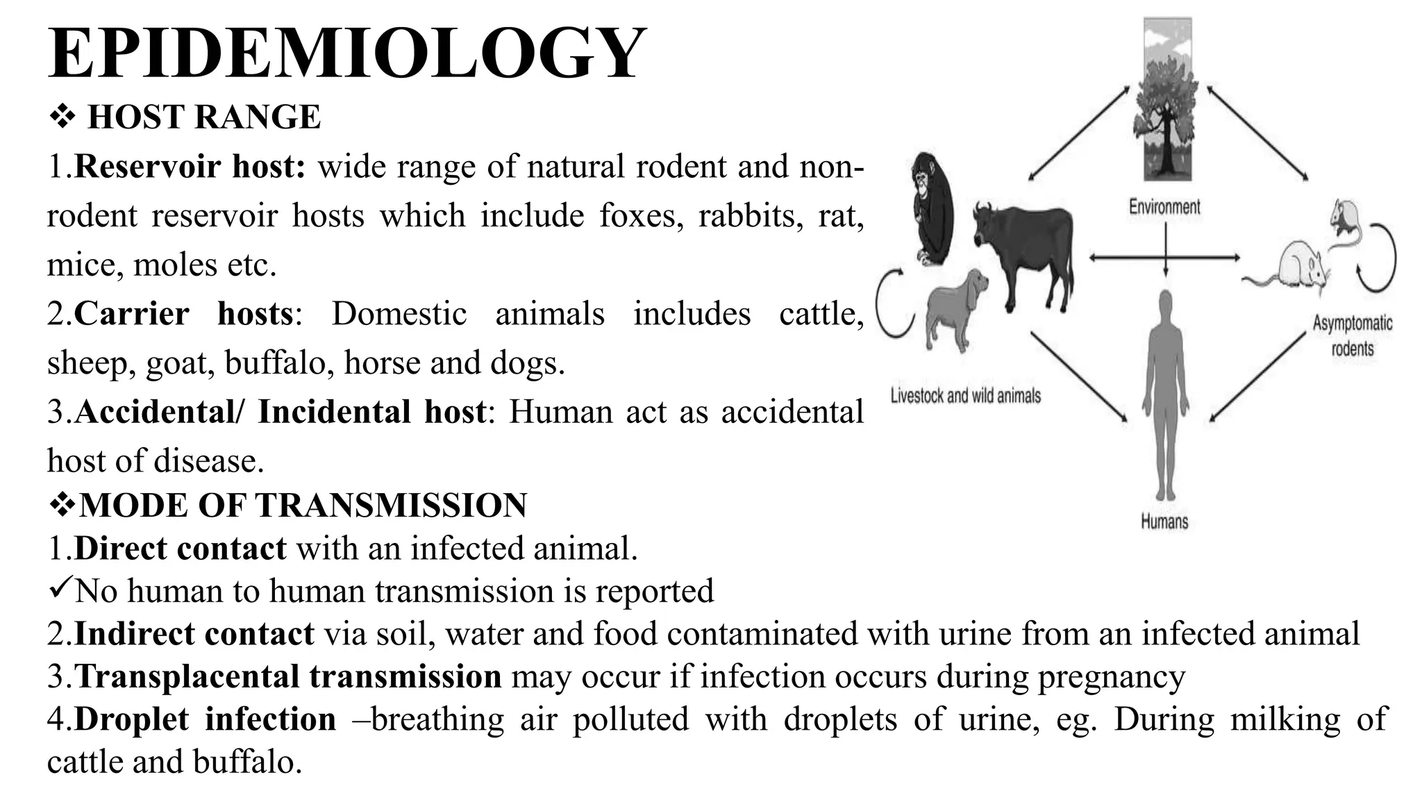 Leptospirosis: Its Epidemiology, Diagnosis and Control | PPTX