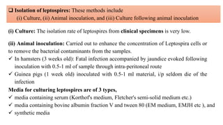 Leptospirosis: Its Epidemiology, Diagnosis and Control | PPTX