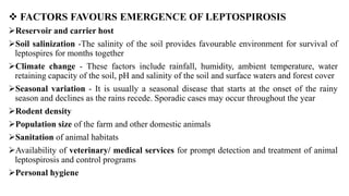 Leptospirosis: Its Epidemiology, Diagnosis and Control | PPTX