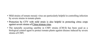 Cross protection | PDF | Gardening | Home & Garden