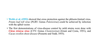 Cross protection | PDF | Gardening | Home & Garden